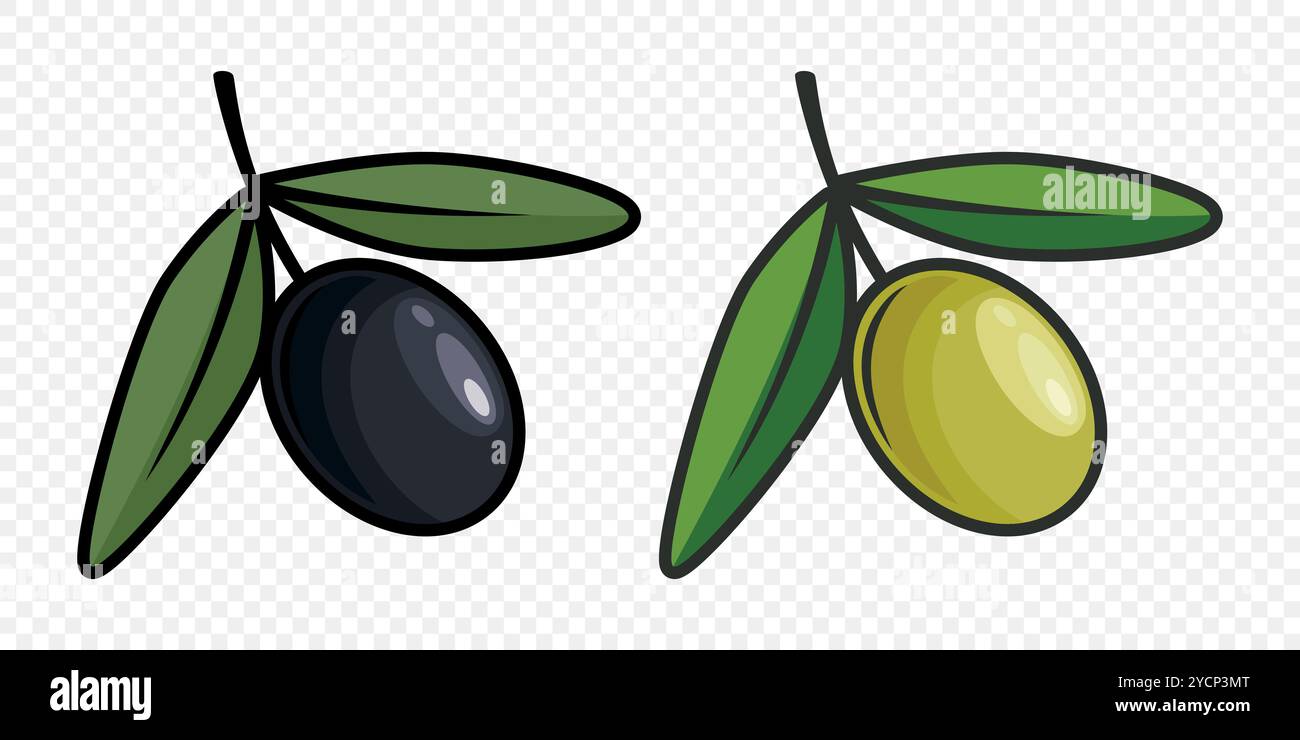 Flat Vector Green and Black Olives Outline Set. Hand-Drawn Olive Tree ...