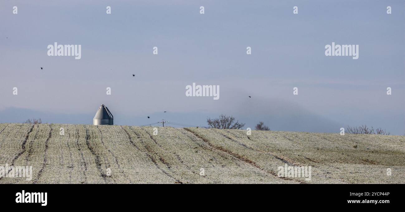 Frost spring ireland hi-res stock photography and images - Alamy