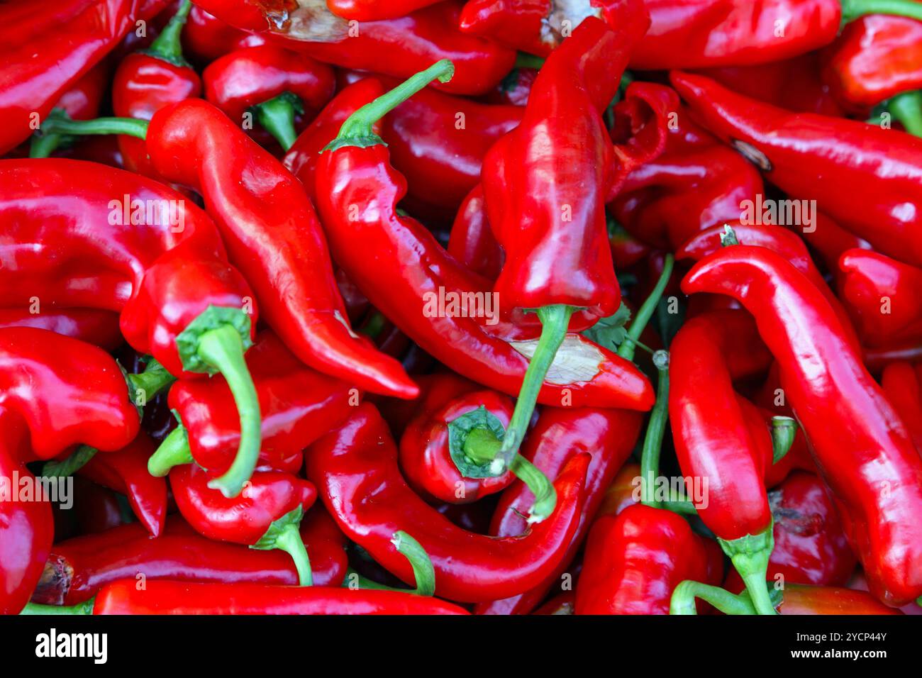 Chili peppers bunch hi-res stock photography and images - Alamy