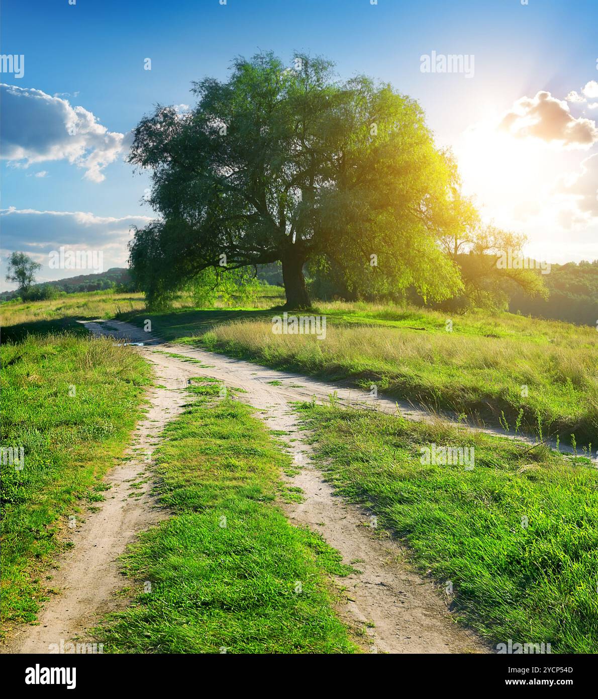 Pathways scene hi-res stock photography and images - Alamy