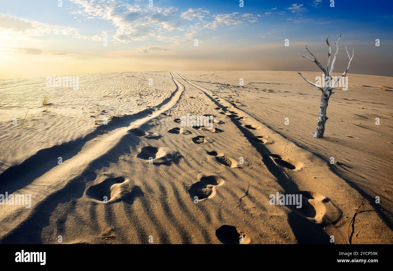 Dead cloudy desert hi-res stock photography and images - Alamy