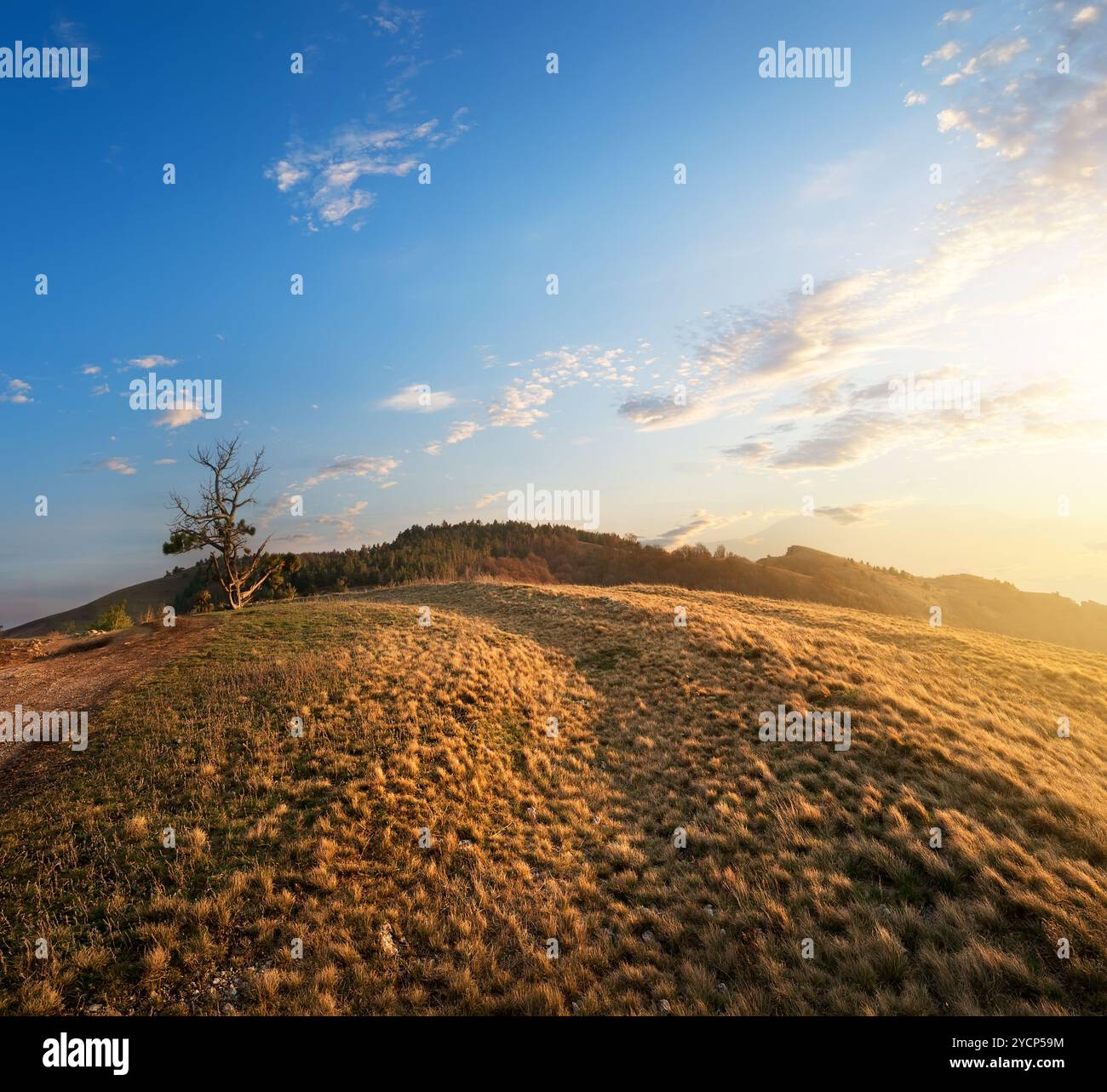 Grass adventure hi-res stock photography and images - Alamy