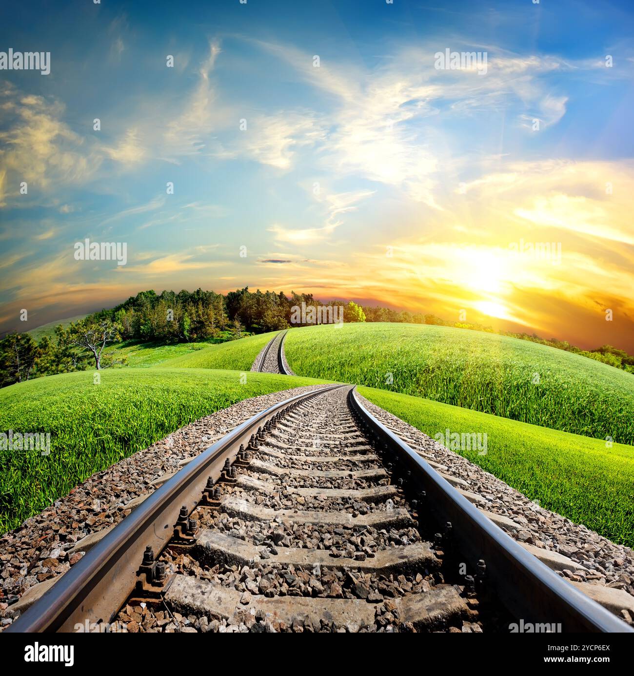 Forest railroad hi-res stock photography and images - Alamy