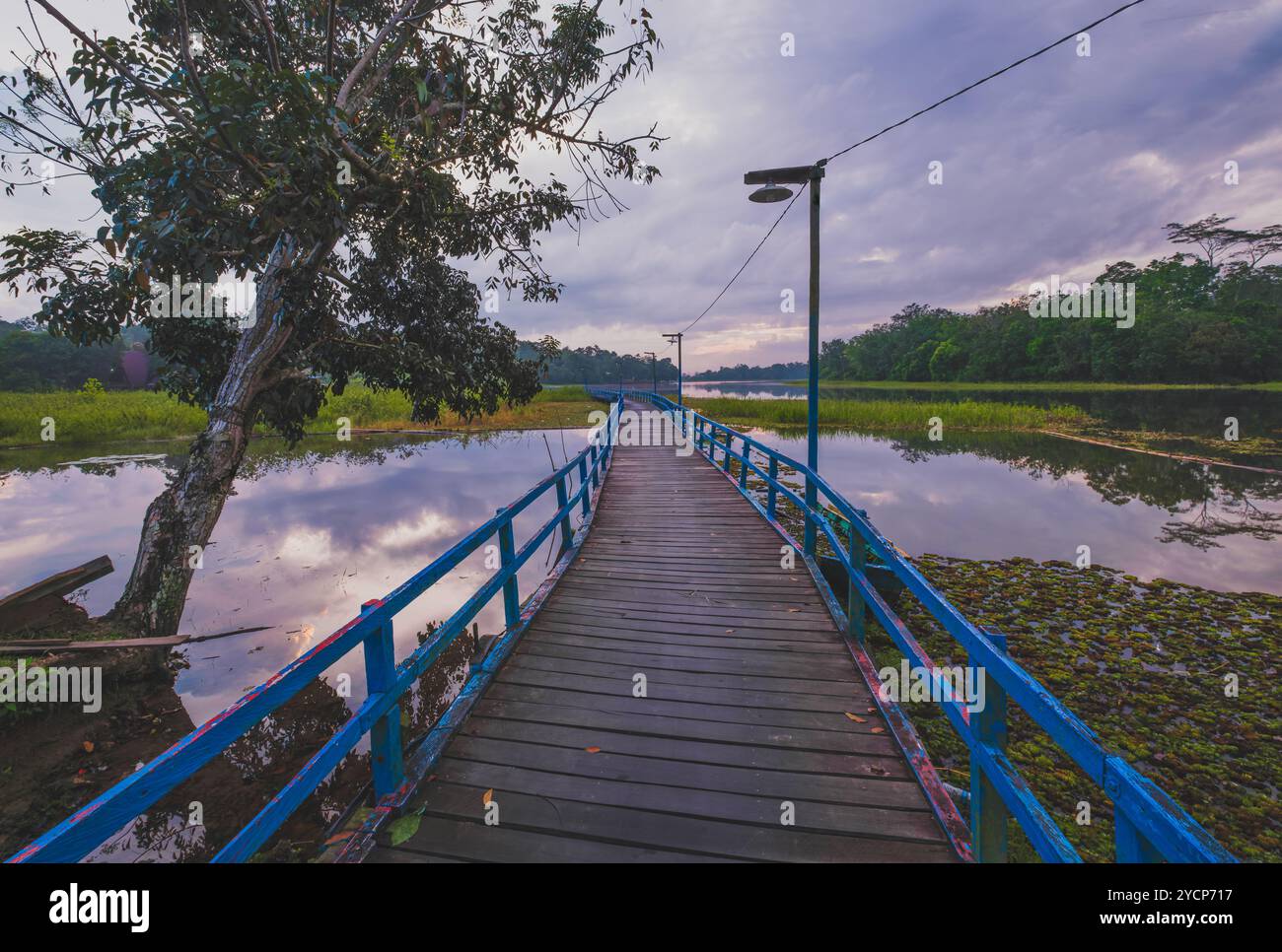 A peaceful image of a long wooden bridge extending over a calm lake ...