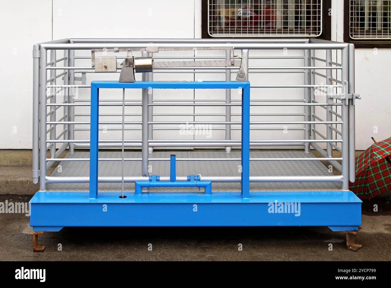 Livestock scale with cage for hogs and sheeps Stock Photo - Alamy