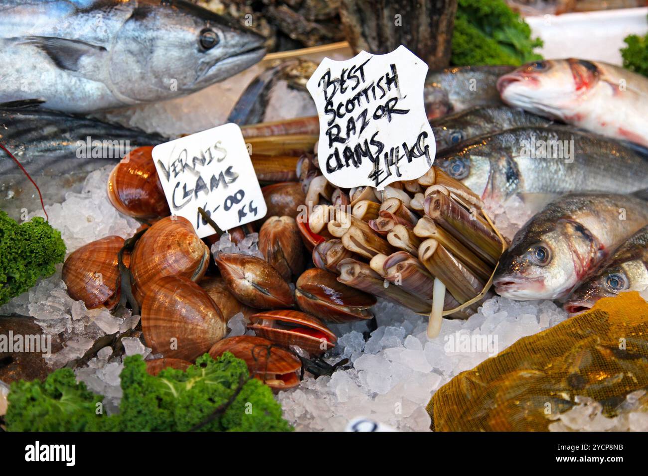 Fresh sea food at market from Scotland Stock Photo - Alamy