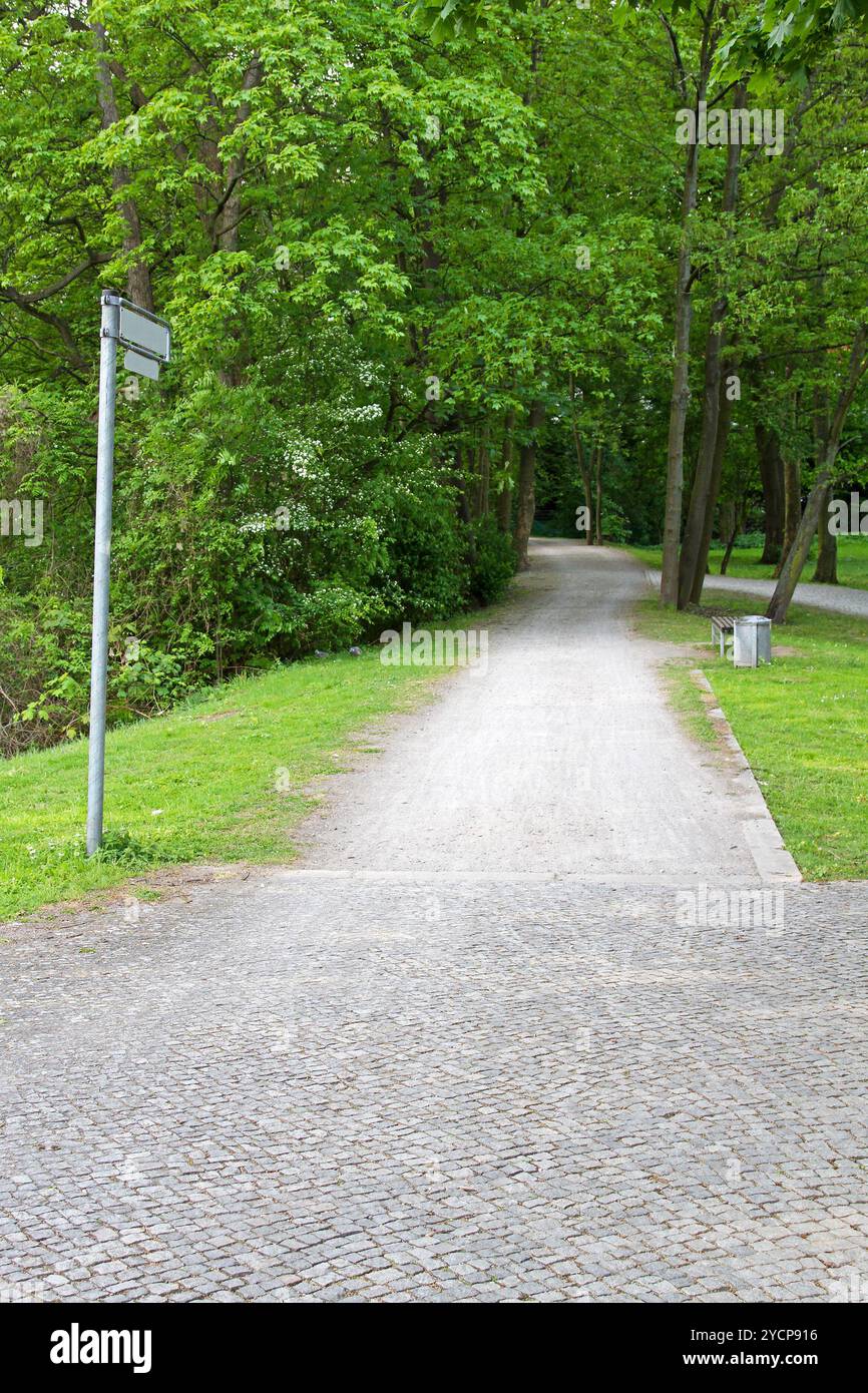 Walking trail in green forest hi-res stock photography and images - Alamy