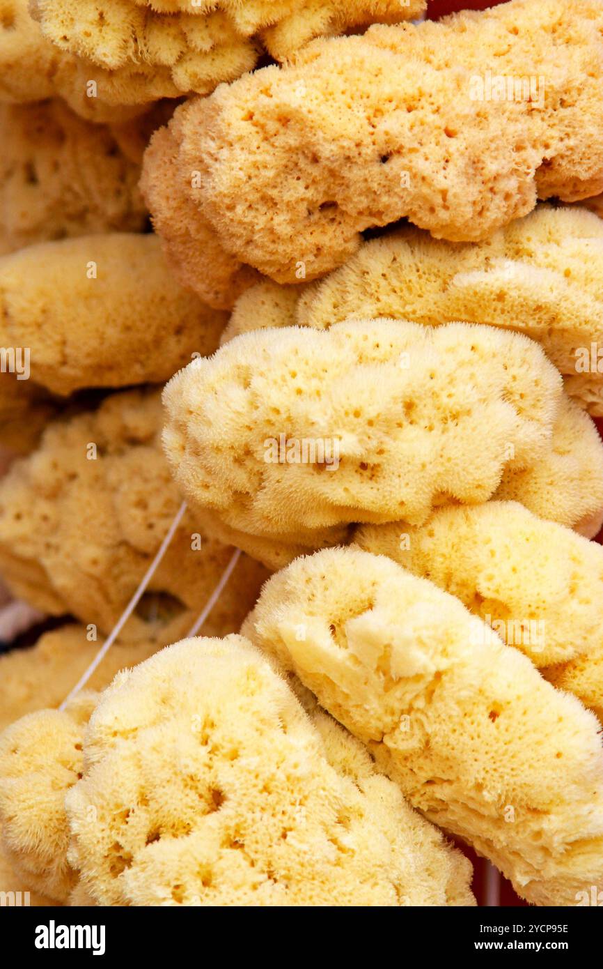 Sponge forms hi-res stock photography and images - Alamy