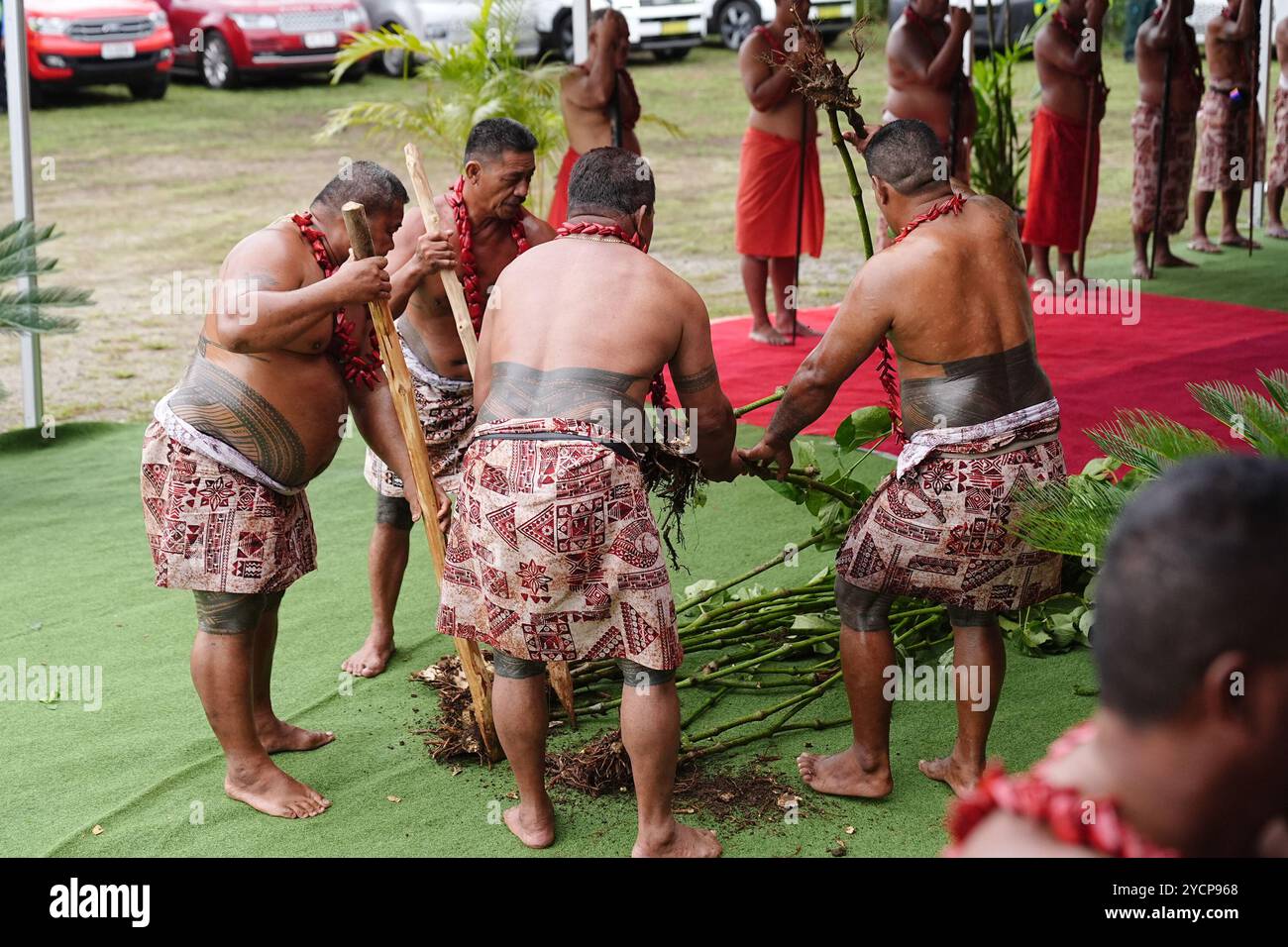 Ava roots are 'symbolically' crushed during an 'ava ceremony, reserved ...