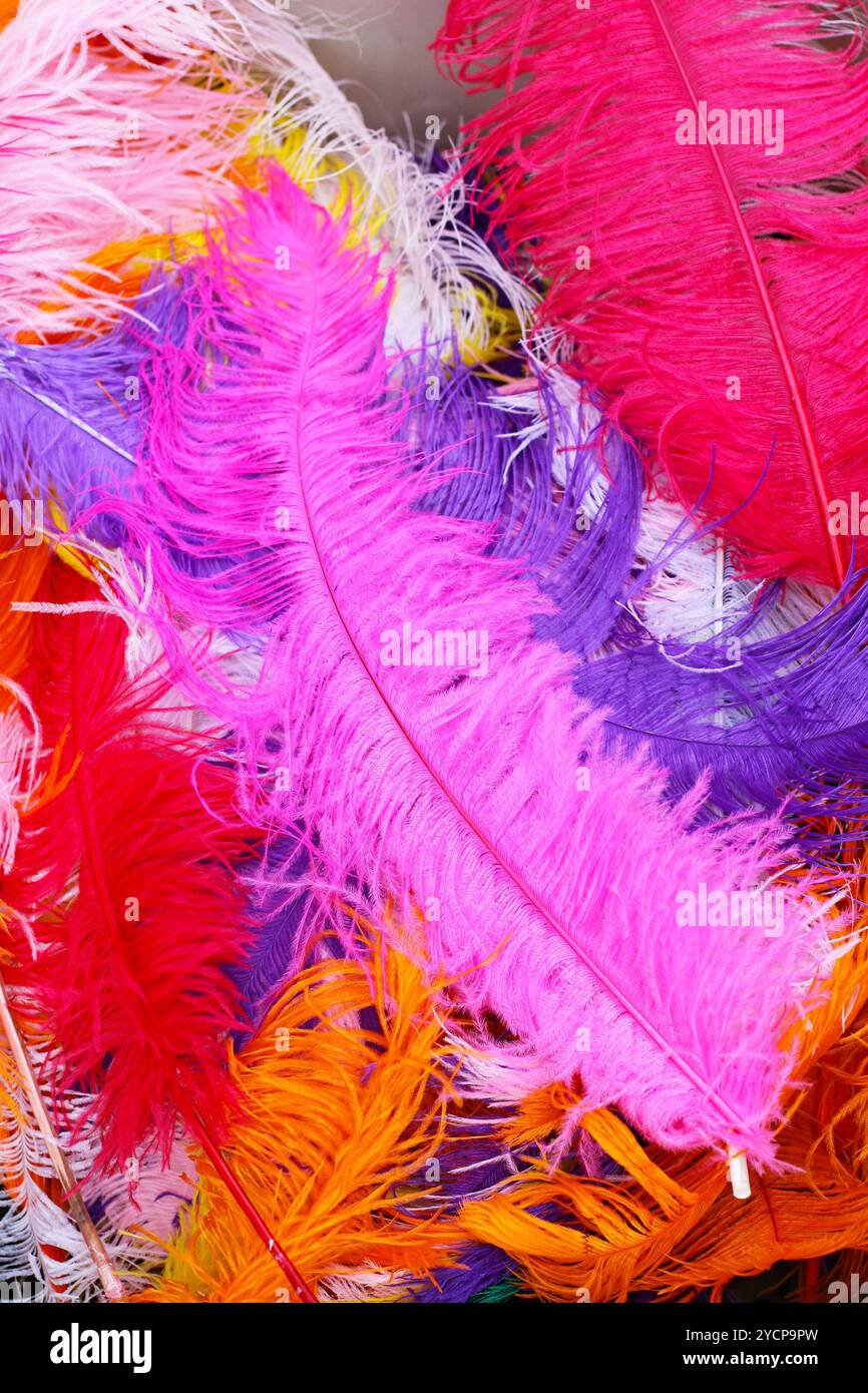 Fashion feather hi-res stock photography and images - Alamy