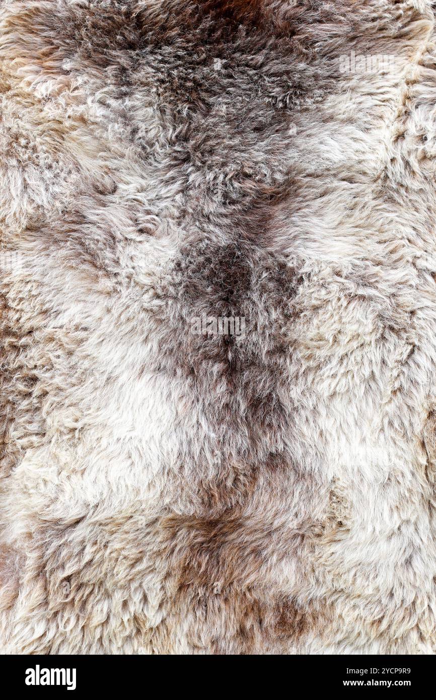 Genuine animal fur texture for fashion industry Stock Photo - Alamy