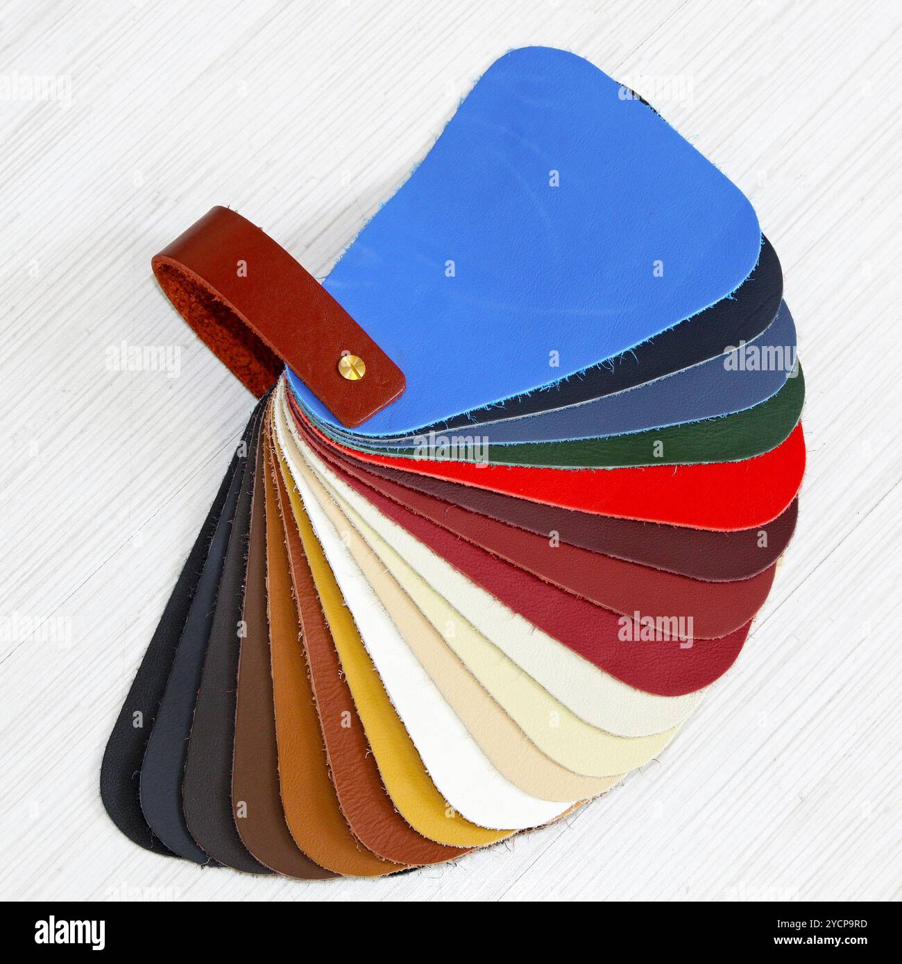 Genuine leather color sampler for fashion industry Stock Photo - Alamy