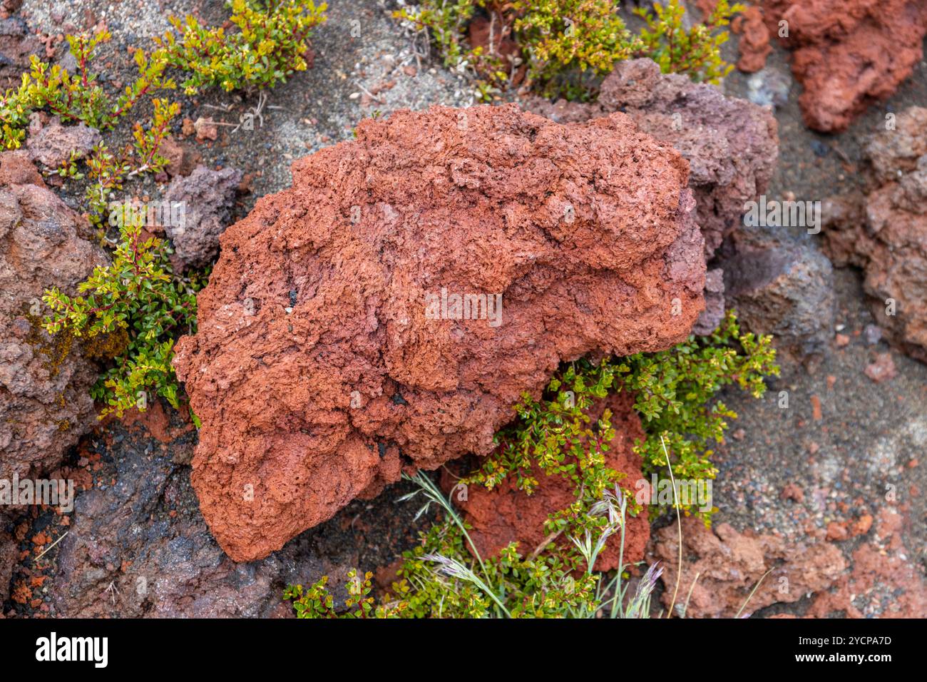 Osorno volcano in Chile. The ring of Fire volcano crater and lava on ...