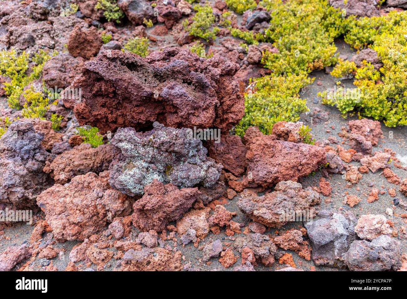 Osorno volcano in Chile. The ring of Fire volcano crater and lava on ...