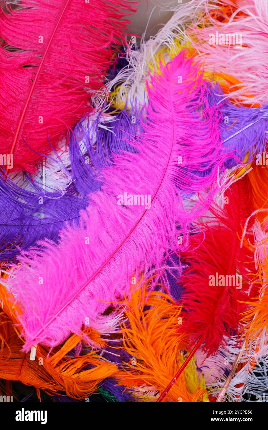 Colourful feather feathers costume hi-res stock photography and images ...