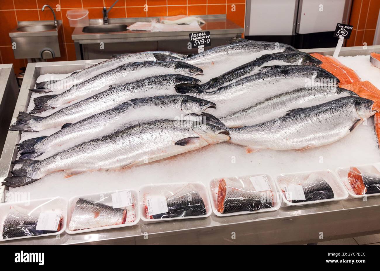 SAMARA, RUSSIA - OCTOBER 5, 2014: Raw fish in ice ready for sale at the ...