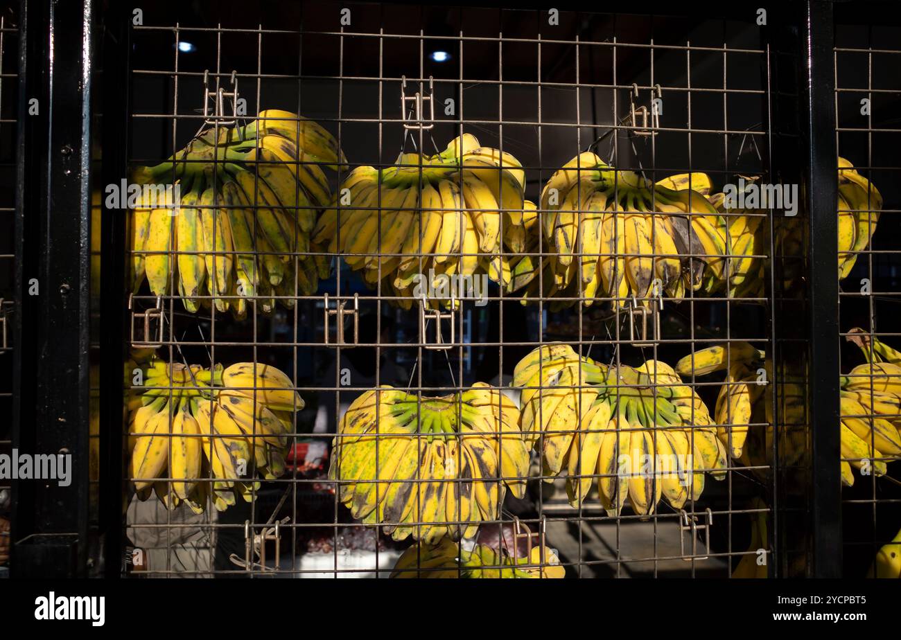 Fresh bananas display hanging on the iron fence in traditional market ...