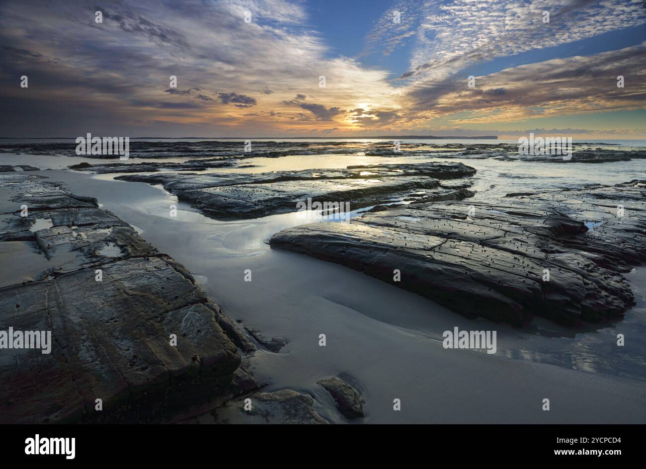 Vincentia hi-res stock photography and images - Alamy