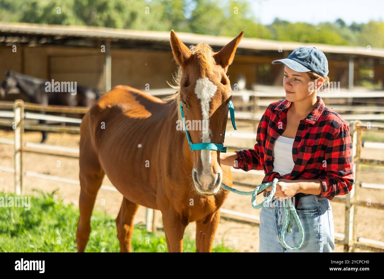 Positive girl, owner of horse, walks pet outdoor in paddock Stock Photo - Alamy