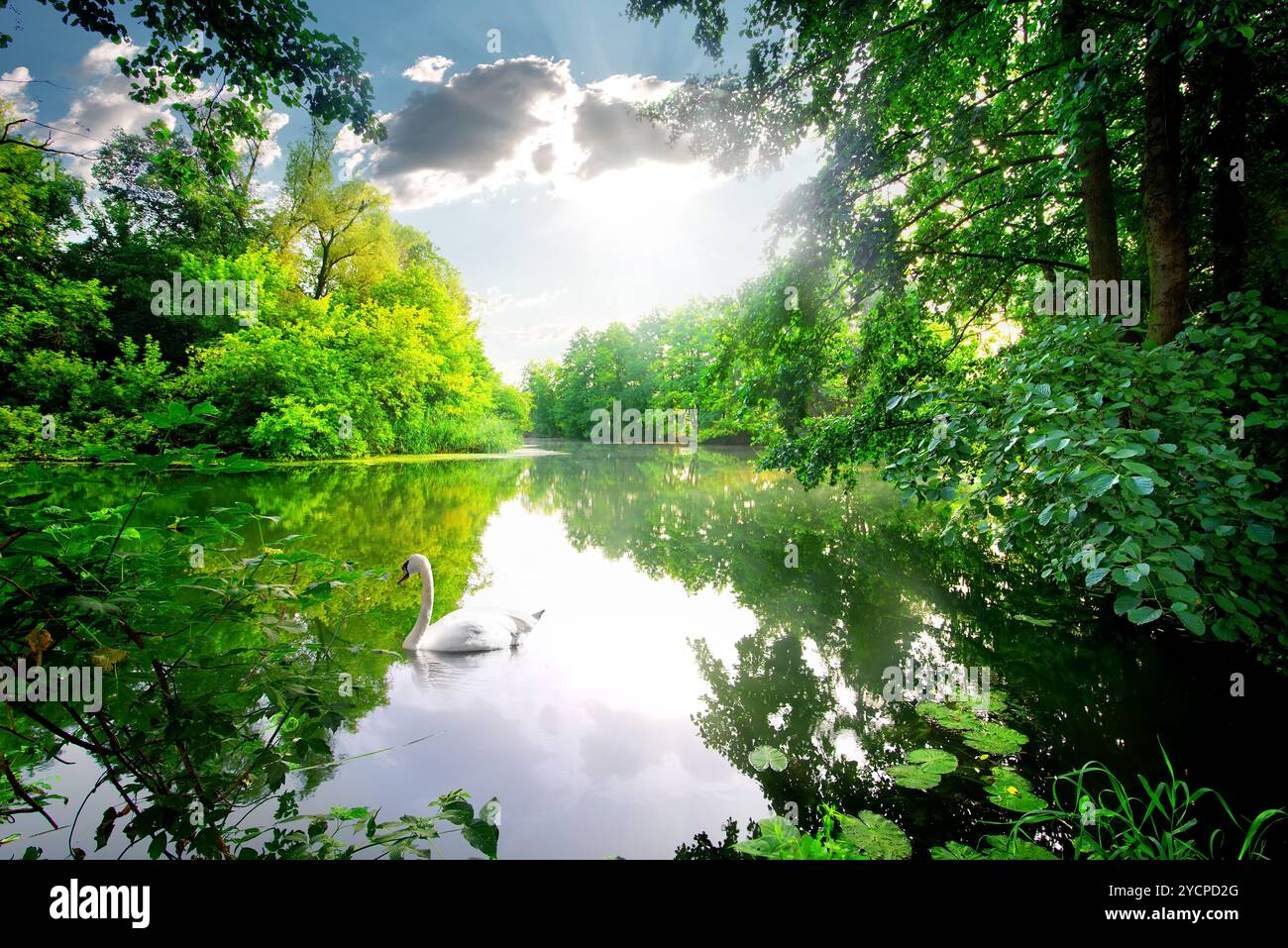 Summer calm scene hi-res stock photography and images - Alamy