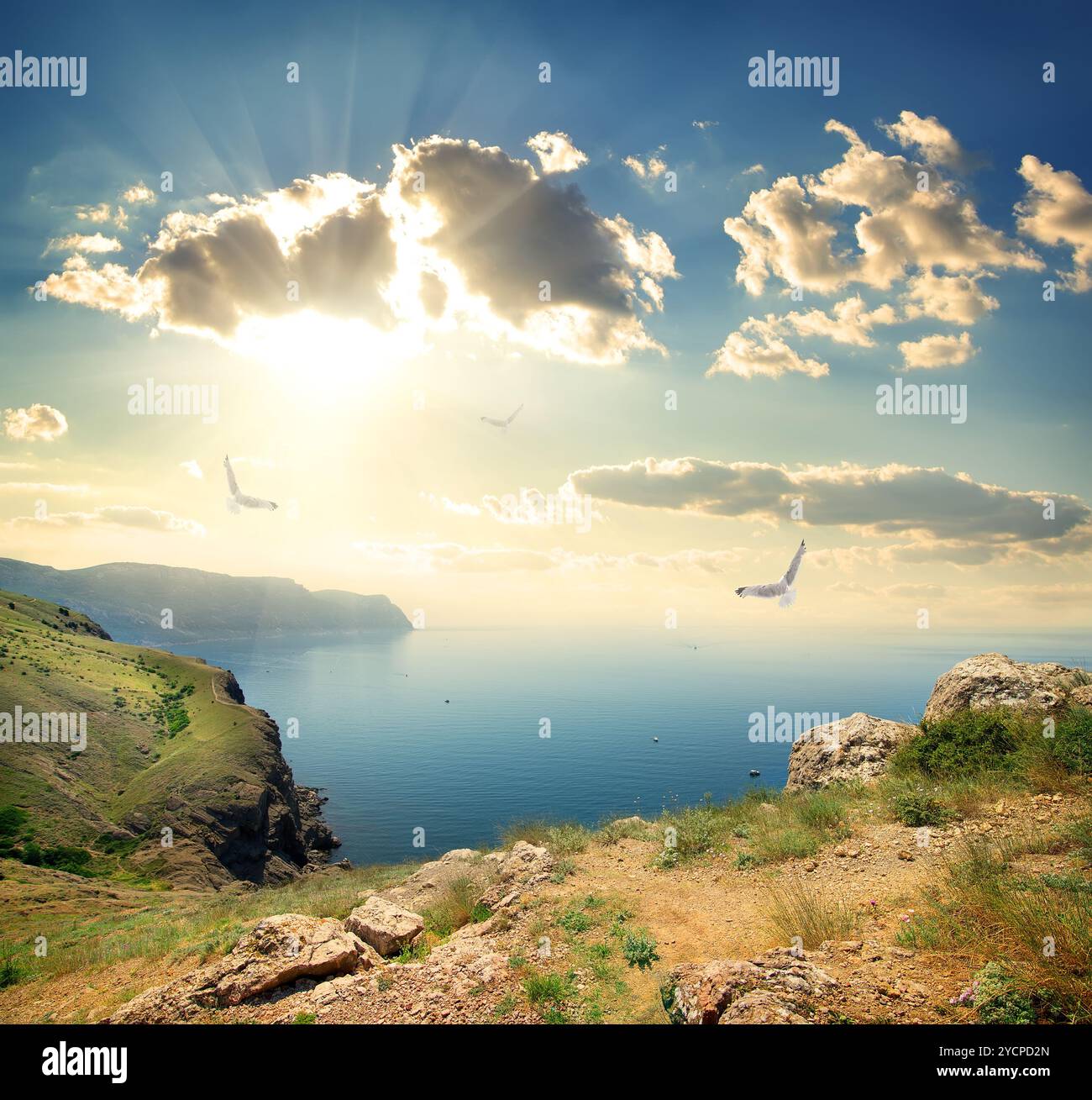 Grass rocks sea islands hi-res stock photography and images - Alamy