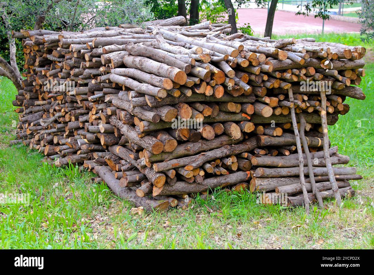 Collected pile hi-res stock photography and images - Alamy