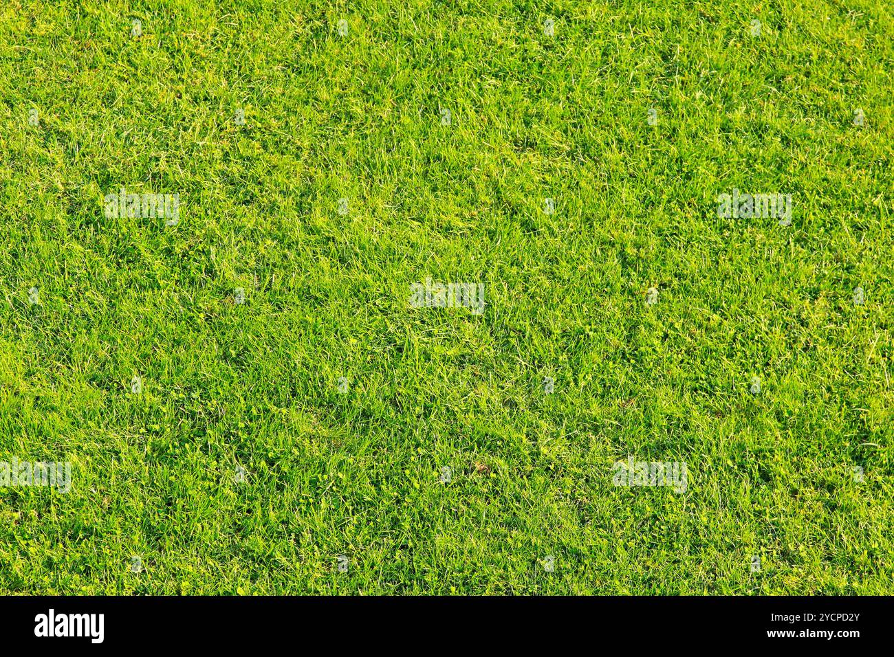 Grass terrain hi-res stock photography and images - Alamy