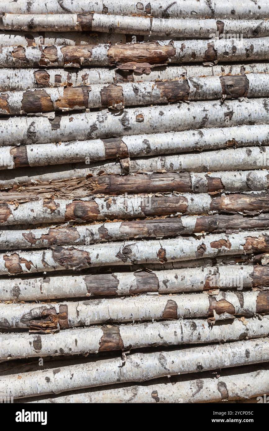 Pile of old logs hi-res stock photography and images - Alamy