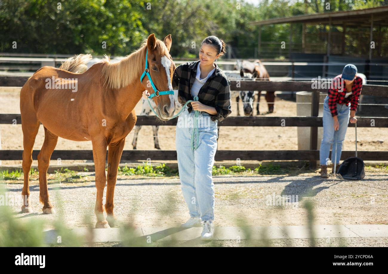 Asian girl, owner of horse, walks pet outdoor in paddock Stock Photo - Alamy