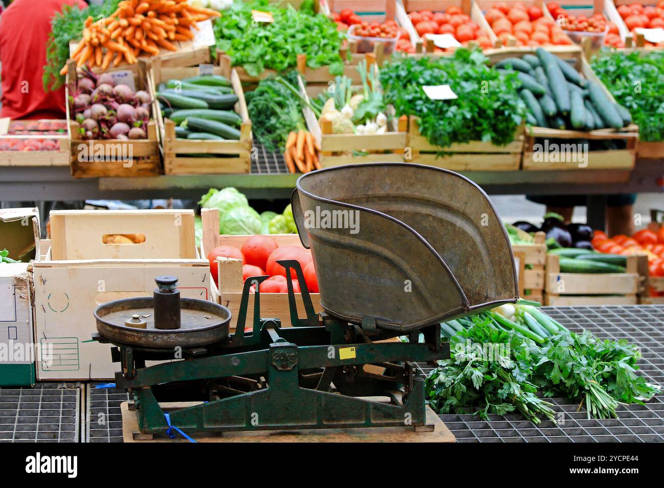 Green color scale hi-res stock photography and images - Alamy