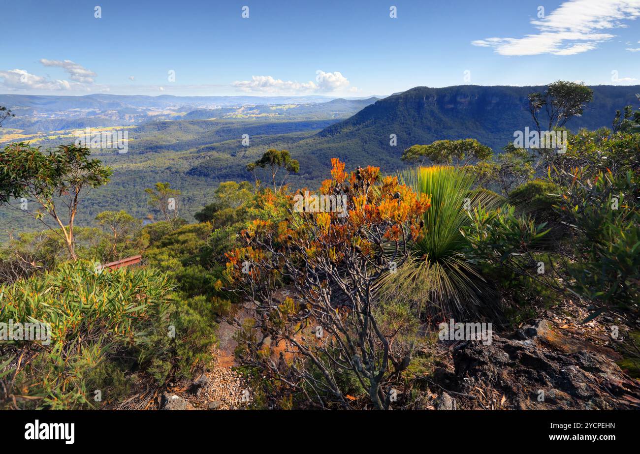 Narrowneck to Nellies Glen and Megalong Valley Stock Photo - Alamy