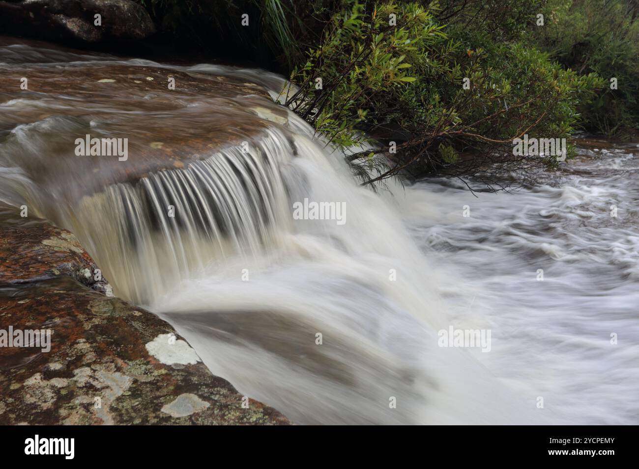 Botany creek hi-res stock photography and images - Alamy