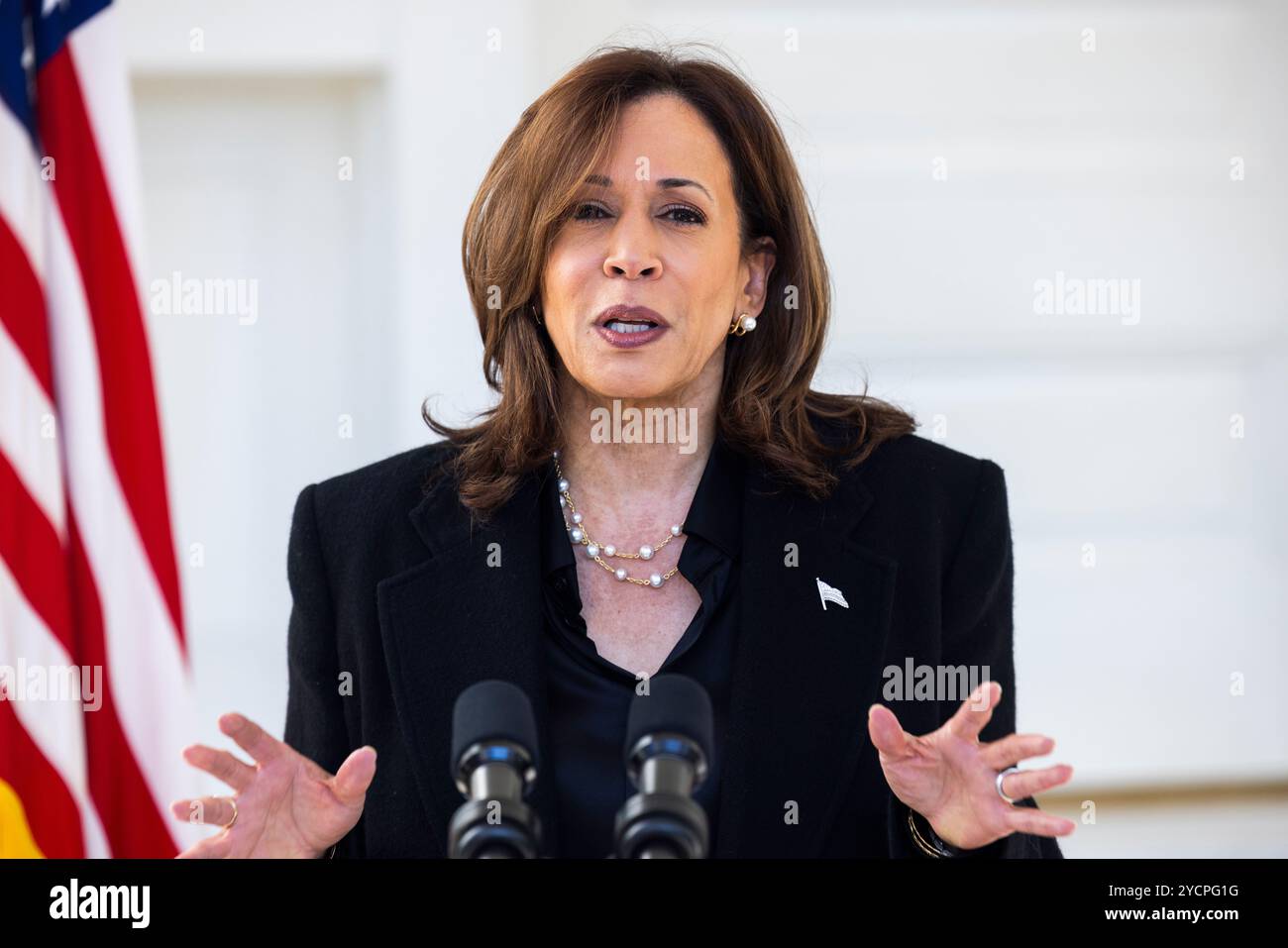 United States Vice President Kamala Harris, the 2024 Democratic Party ...