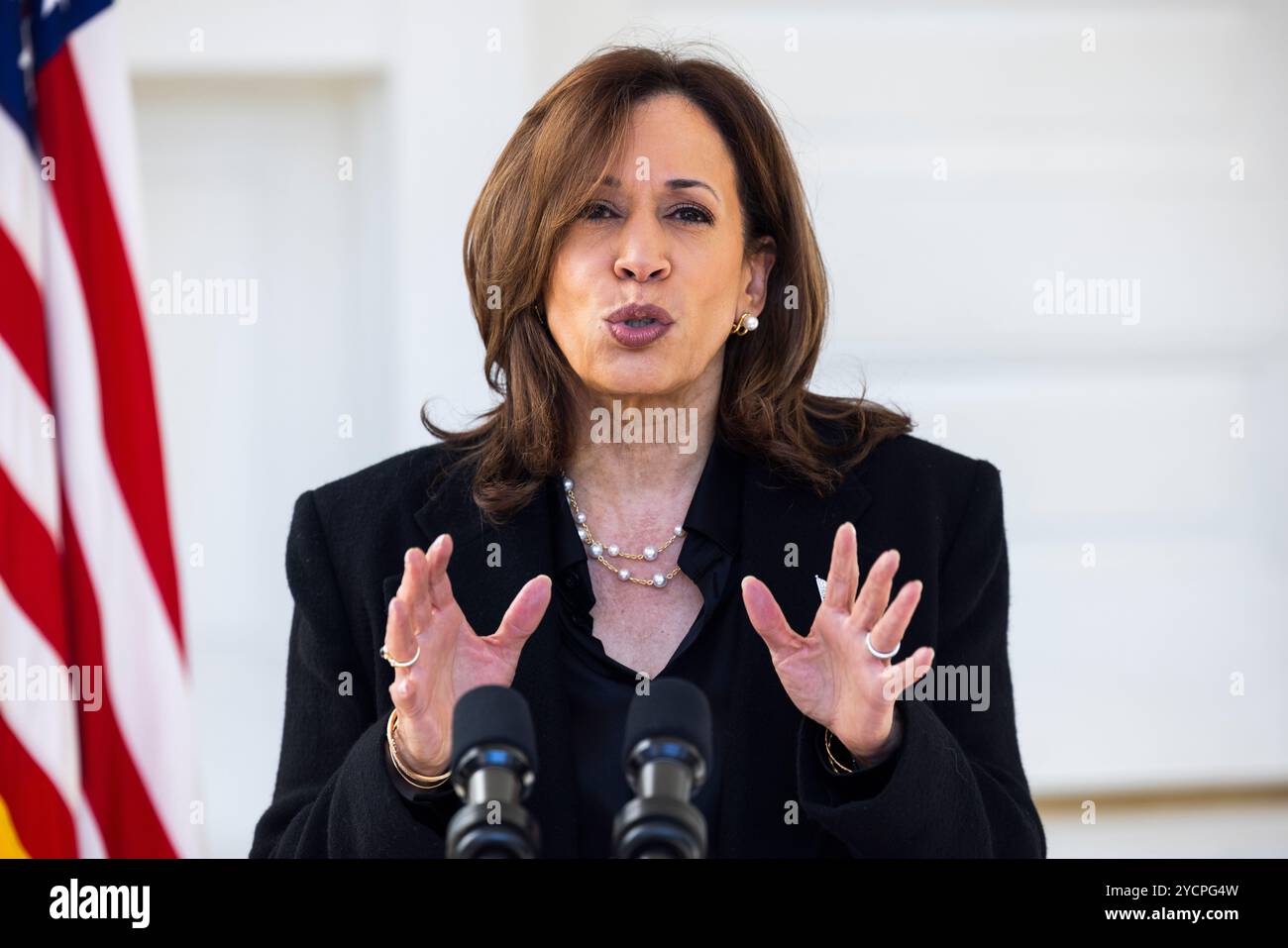 United States Vice President Kamala Harris, the 2024 Democratic Party ...