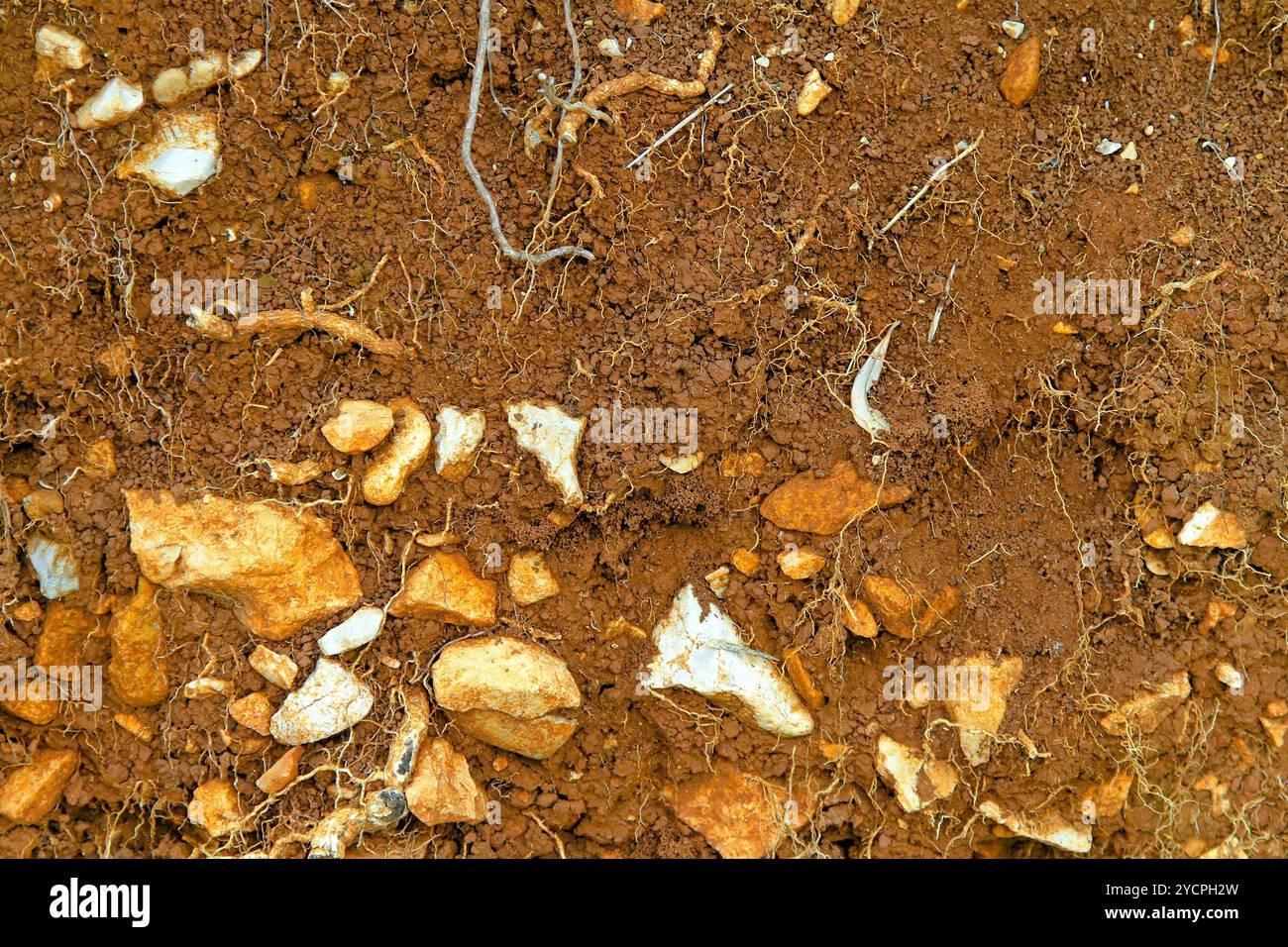 Section segment hi-res stock photography and images - Alamy