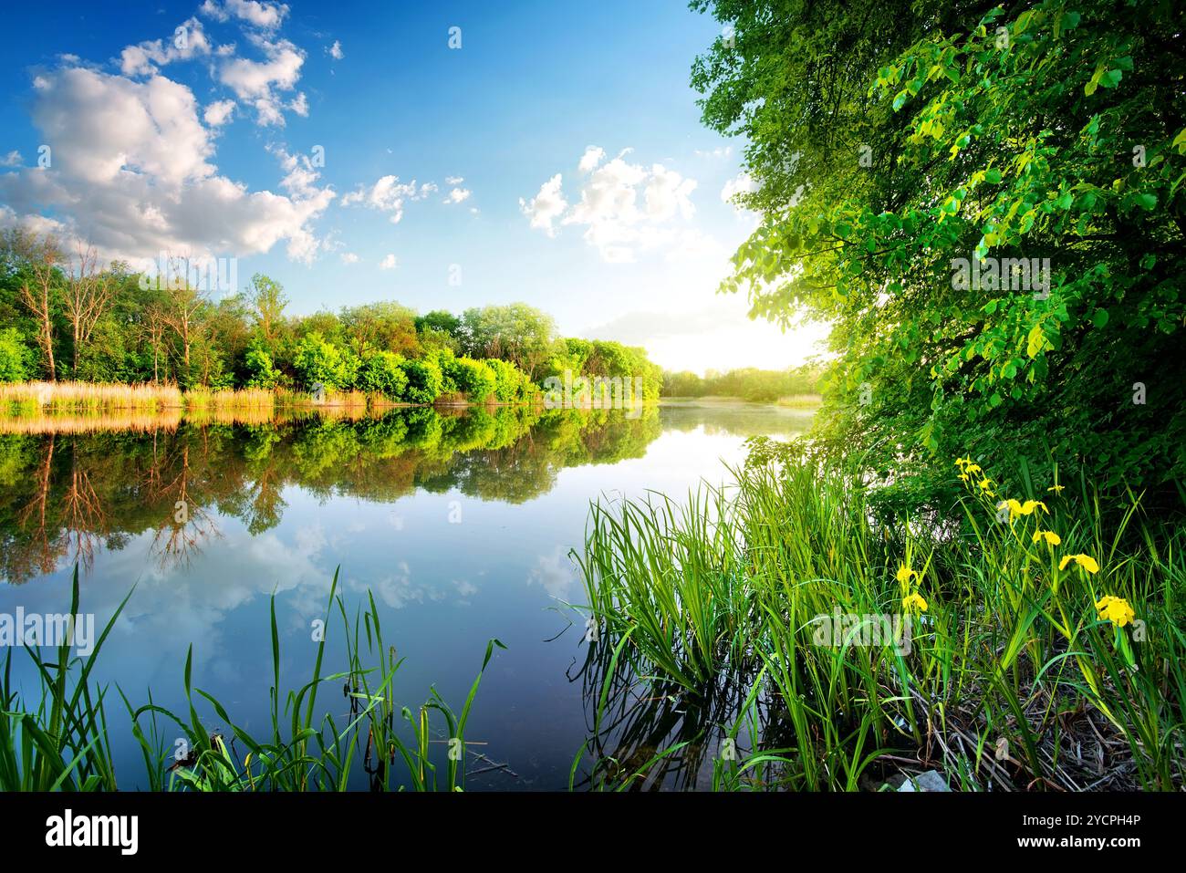 Calm river scene hi-res stock photography and images - Alamy