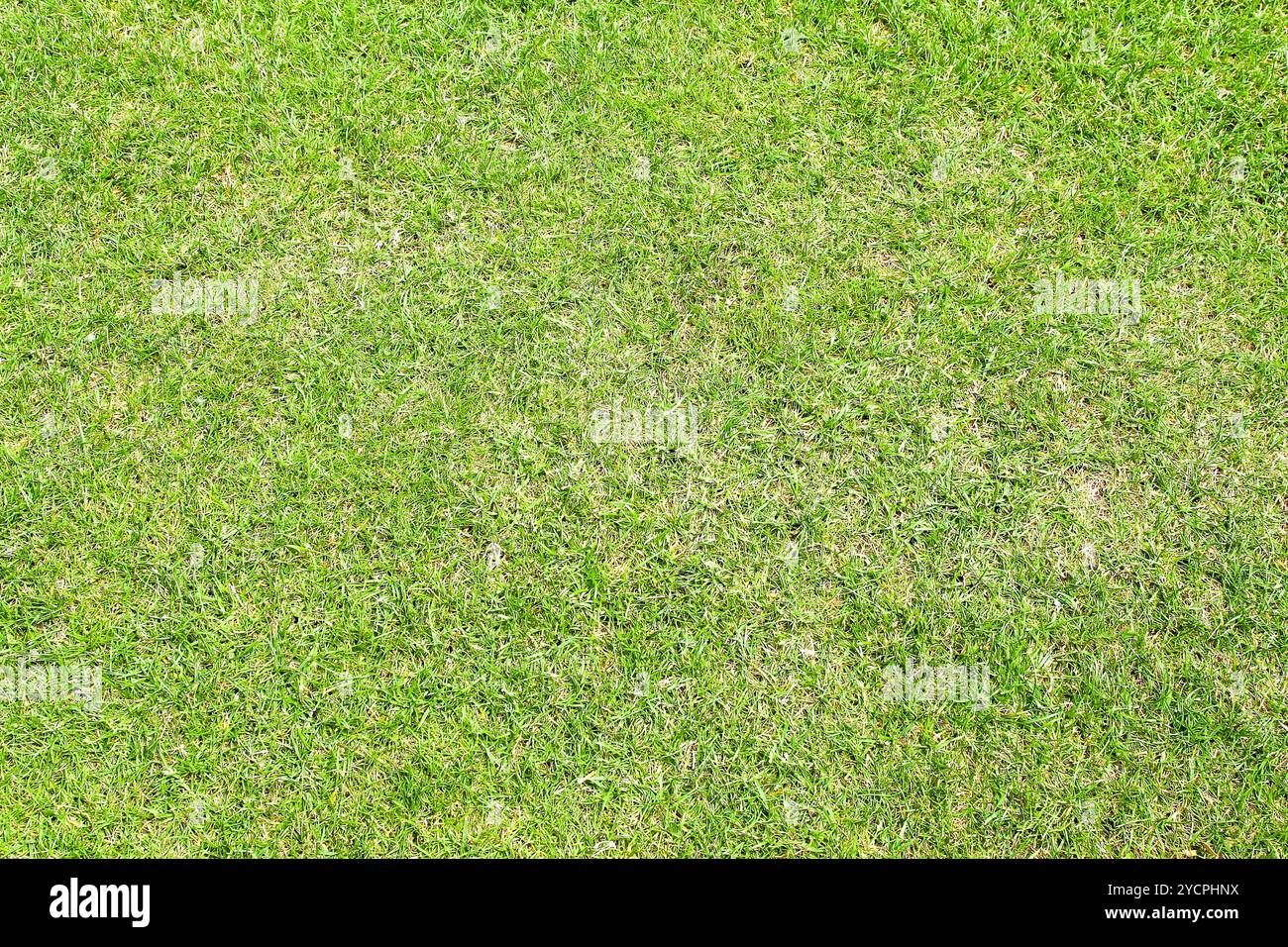 English green grass hi-res stock photography and images - Alamy