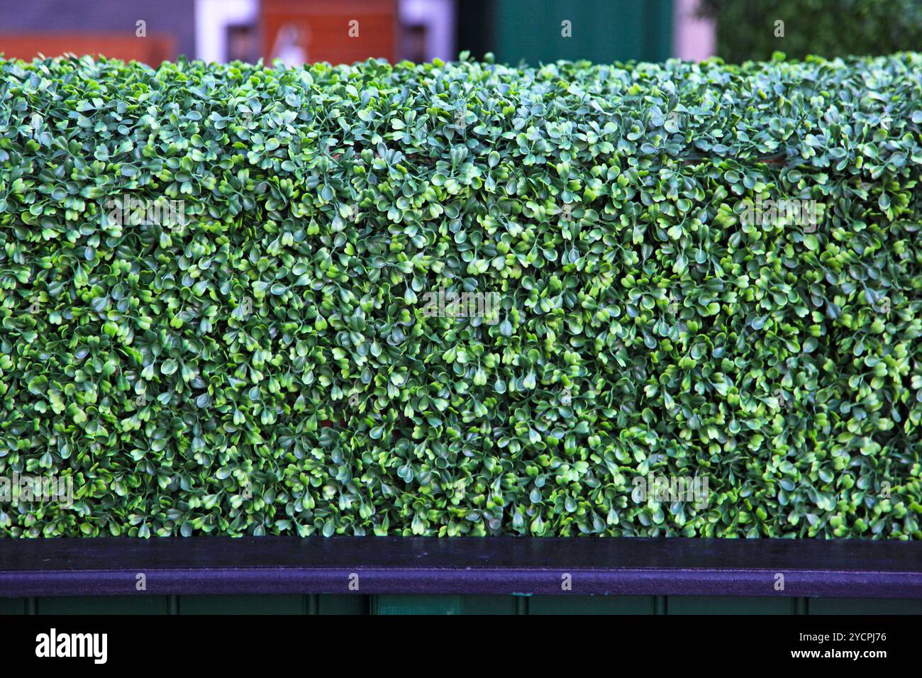 Garden hedge fence boundary hi-res stock photography and images - Alamy