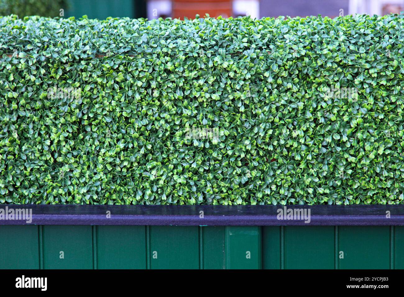 Plastic hedge hi-res stock photography and images - Alamy