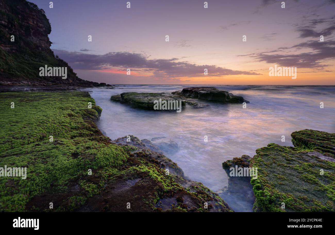 Blue green algae australia hi-res stock photography and images - Alamy