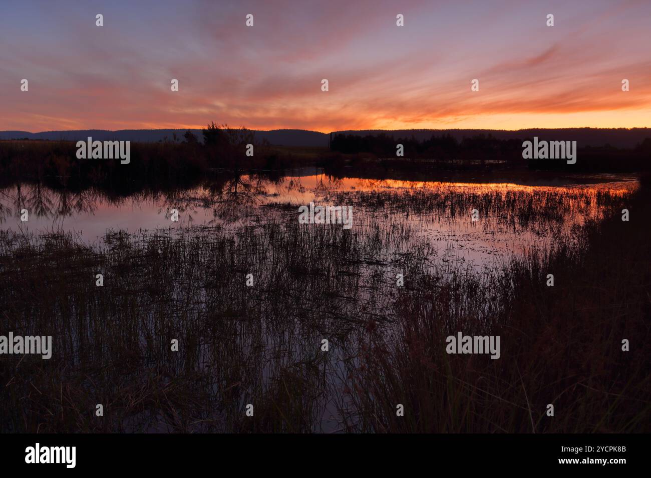 Serene wetlands environment hi-res stock photography and images - Alamy