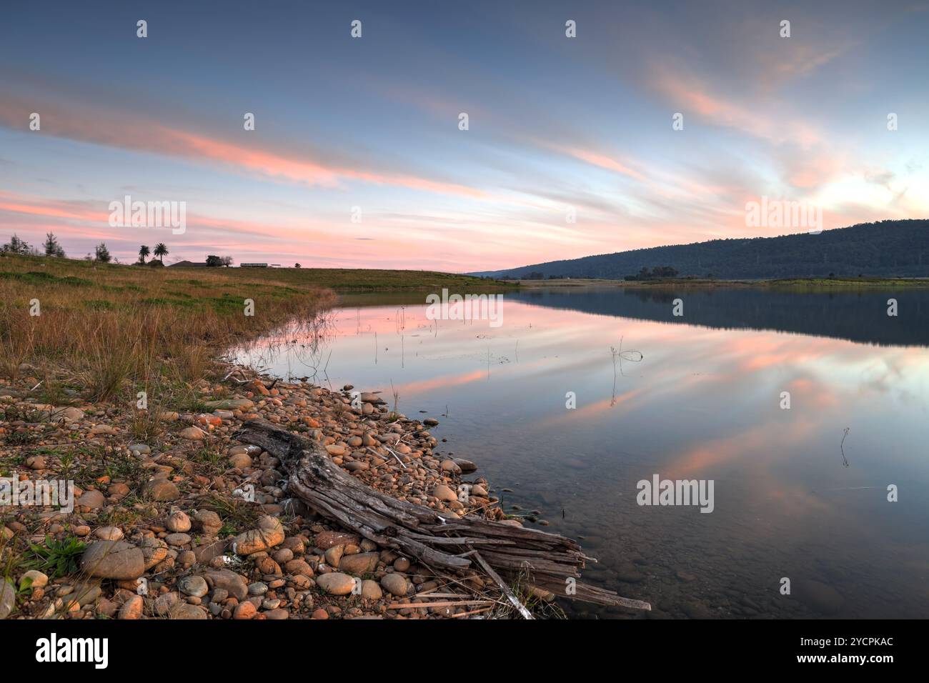 Boorooberongal Lake in Penrith with wispy cirrus clouds turning pink as ...