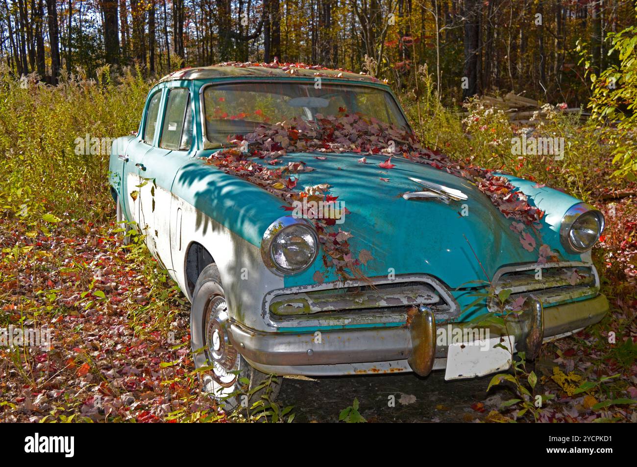 Beautiful classic old car sits hi-res stock photography and images - Alamy