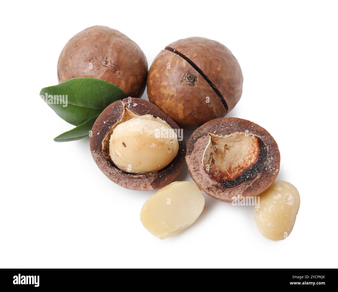 Macadamia nuts with shells isolated on white Stock Photo - Alamy