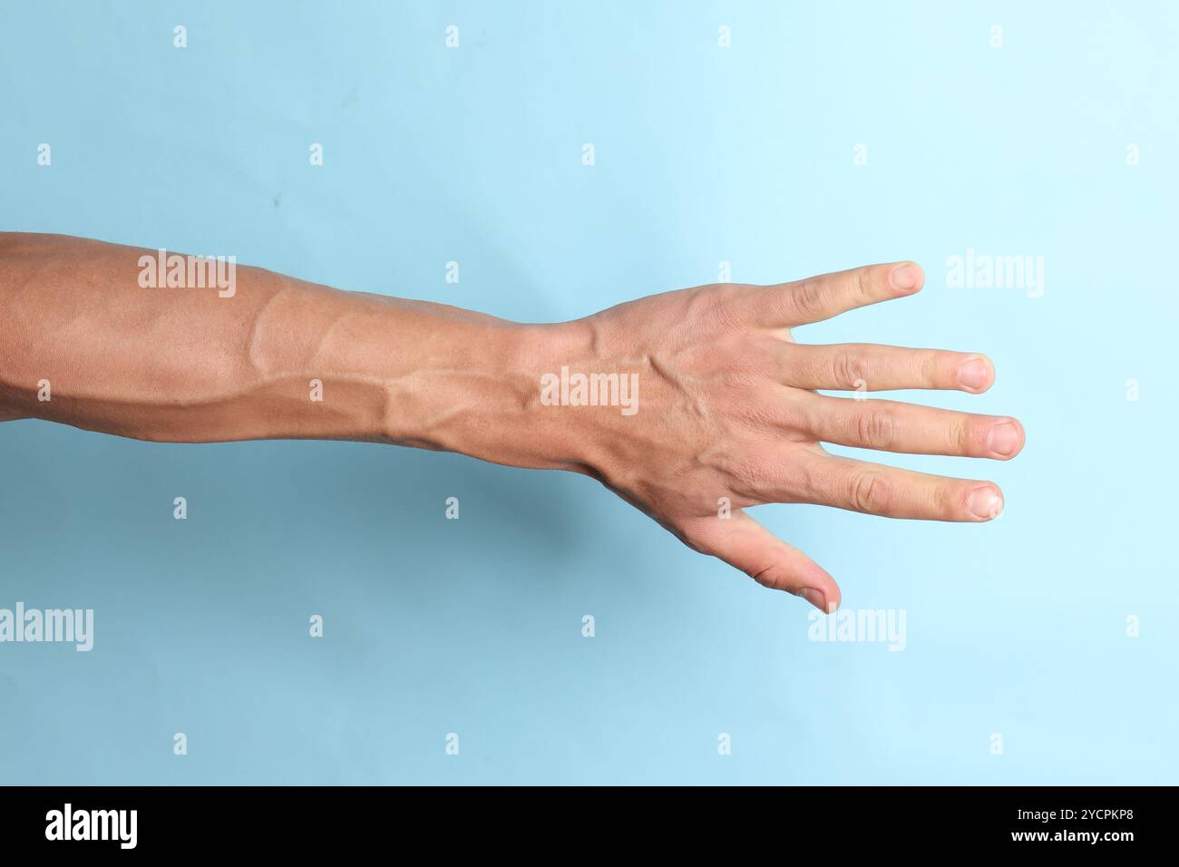 Man with bulging veins on his arm against light blue background ...