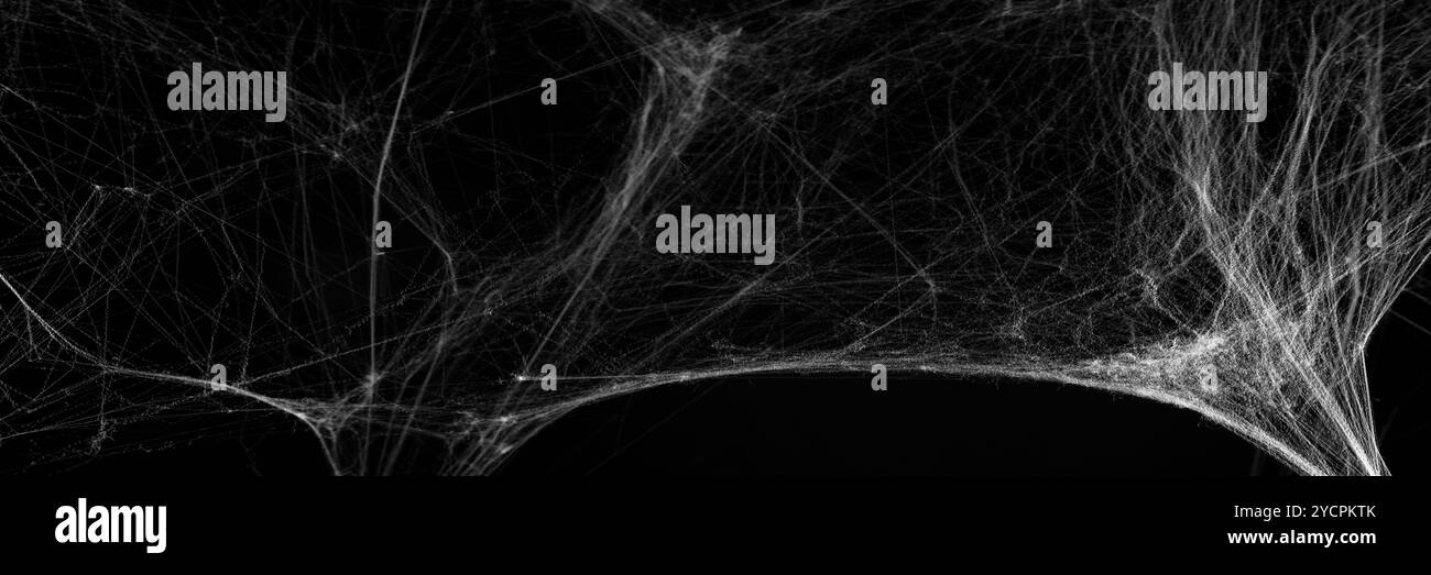 White cobweb on black background, banner design Stock Photo - Alamy