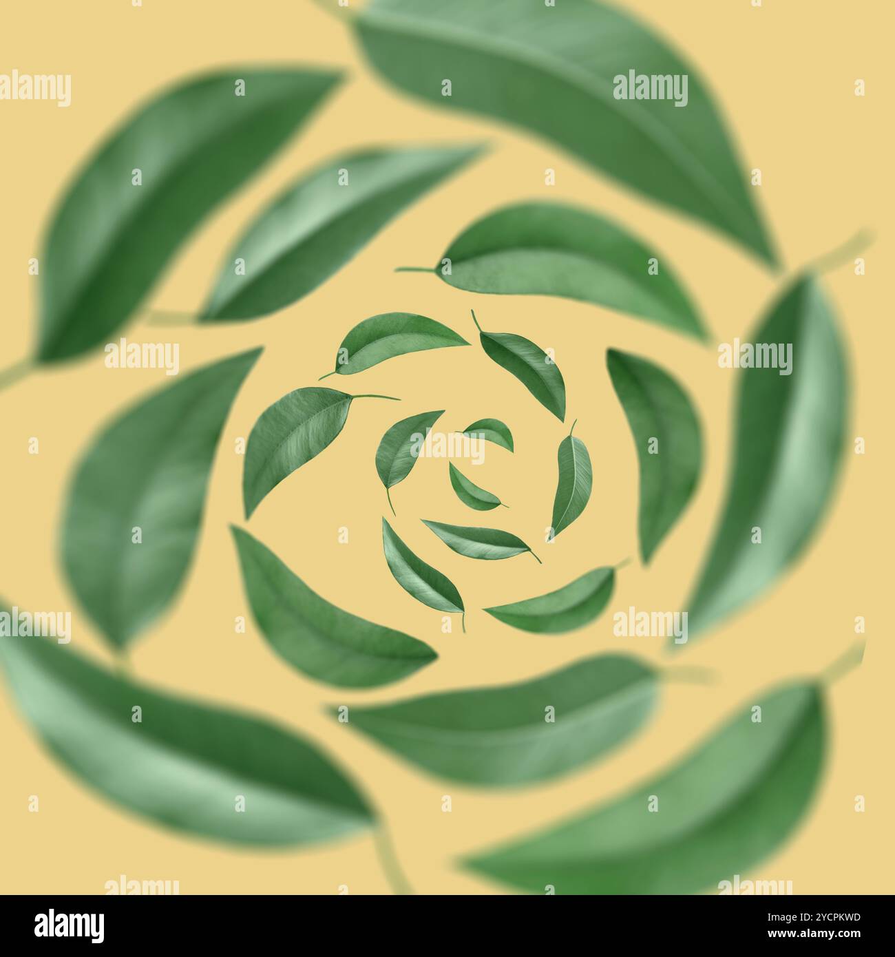 Dusty leaves in motion hi-res stock photography and images - Alamy
