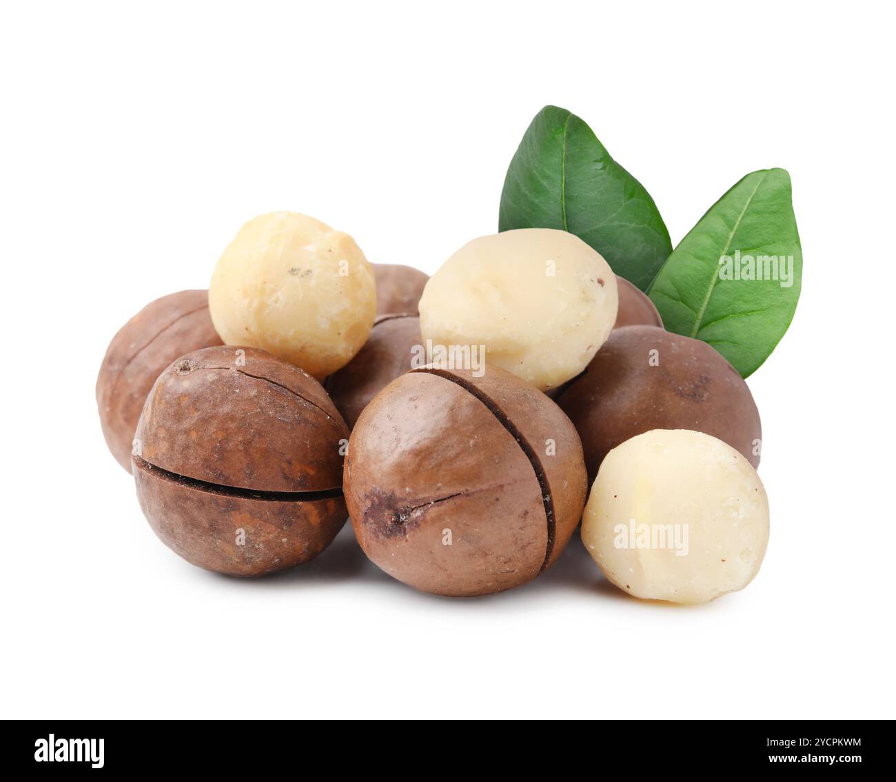 Macadamia nuts and green leaves on white background Stock Photo - Alamy