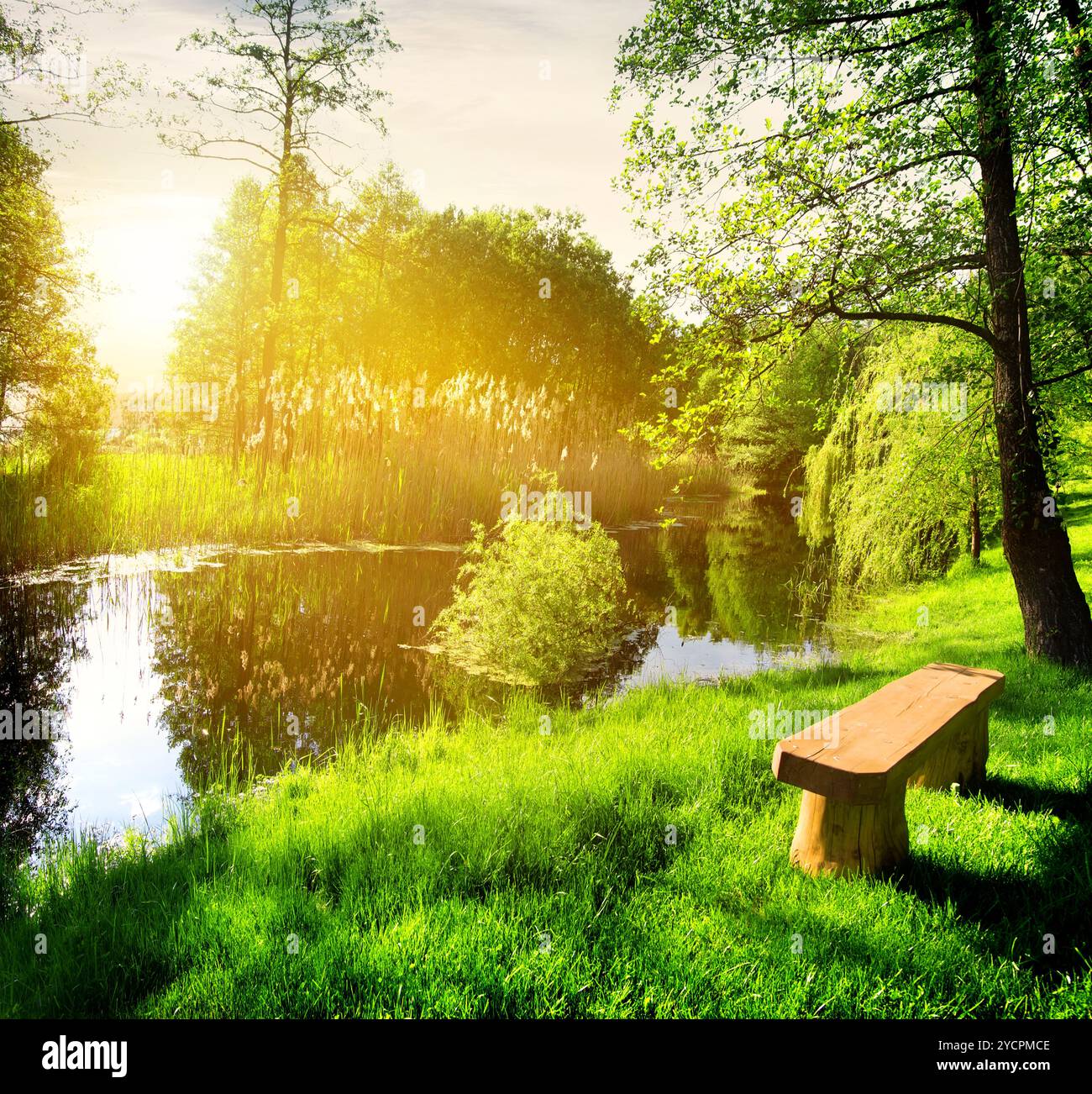 River near forest sunset hi-res stock photography and images - Alamy