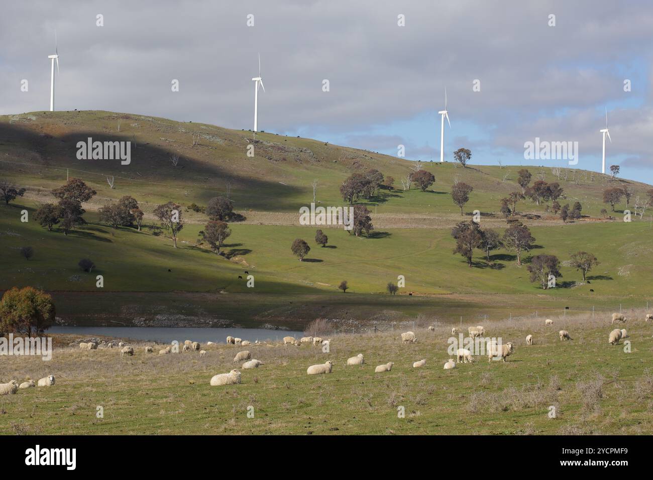Rotating sheep hi-res stock photography and images - Alamy